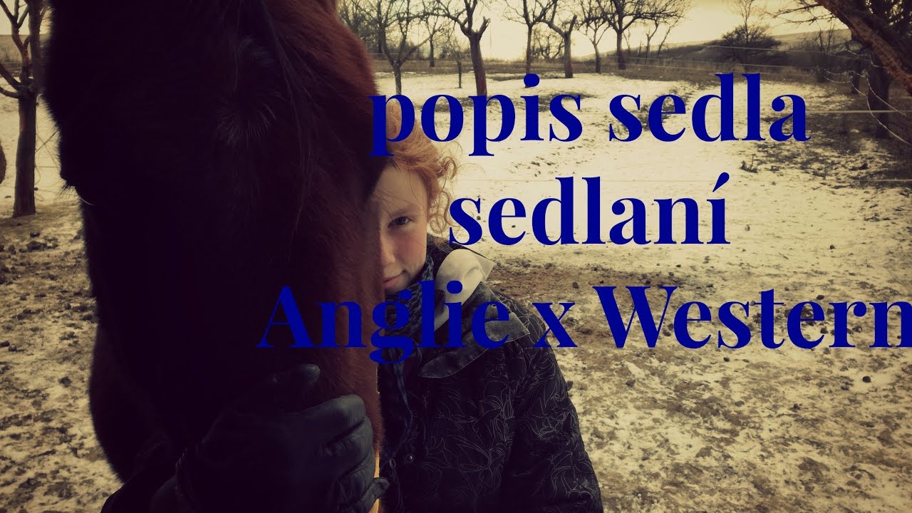 popis Anglického sedla -sedlaní Anglie x Western- - YouTube