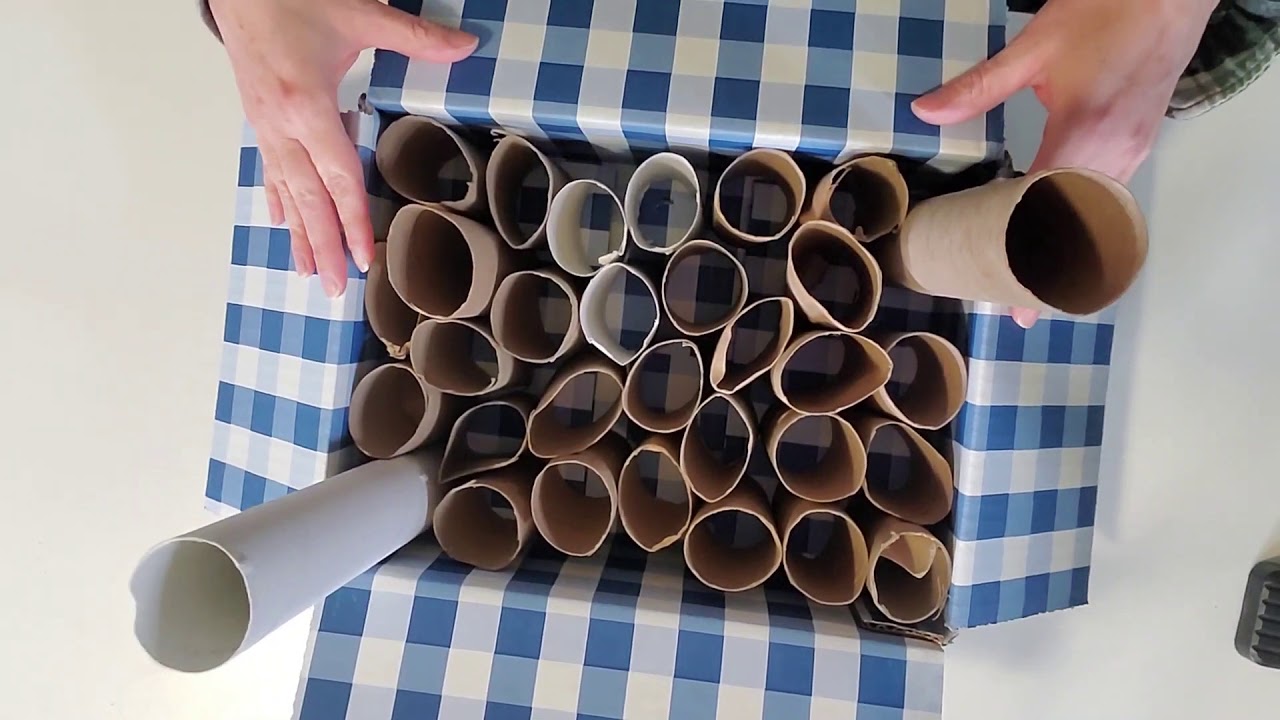 Tuesday (enrichment) Toy Review - Tubes in a box; home made. - YouTube