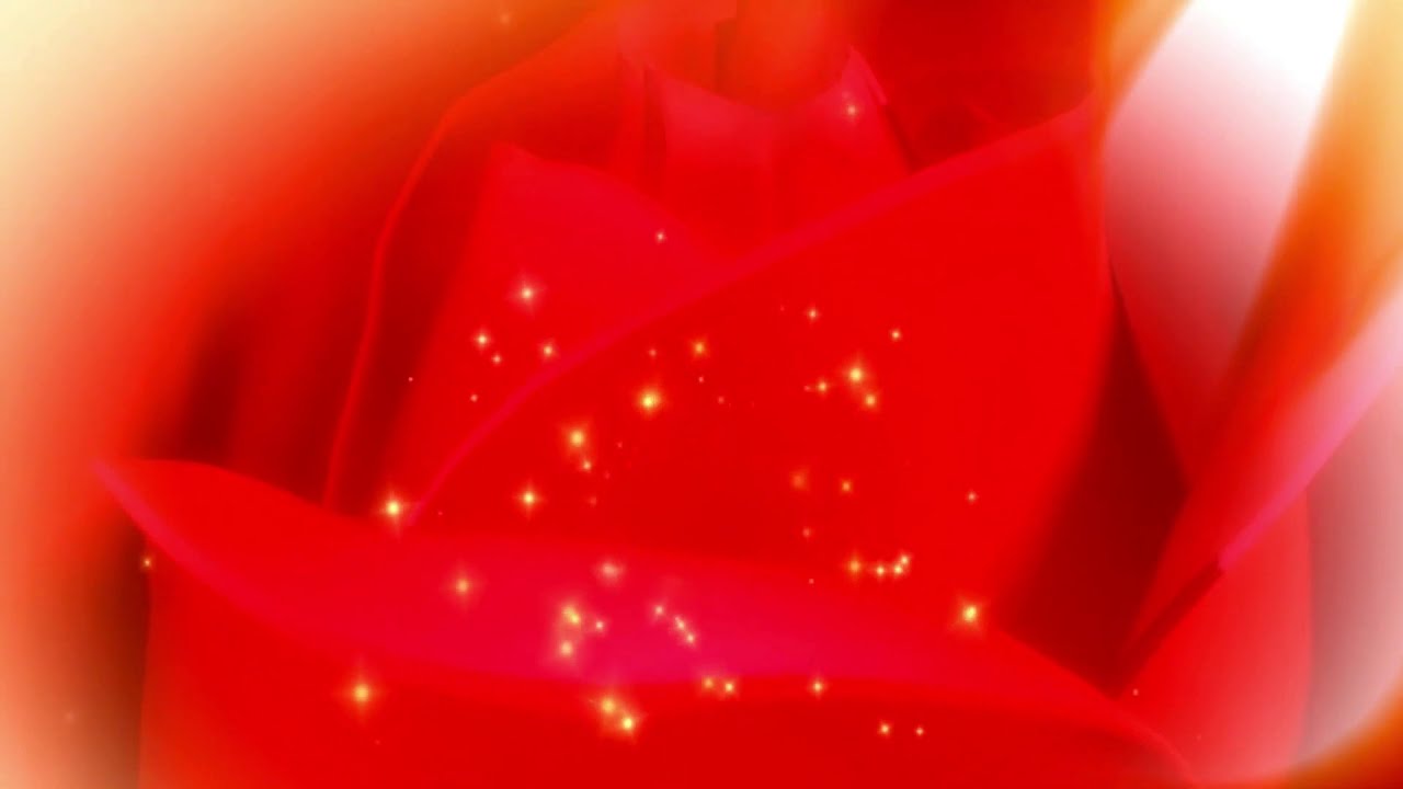 Animated Rose Video background Effect - YouTube