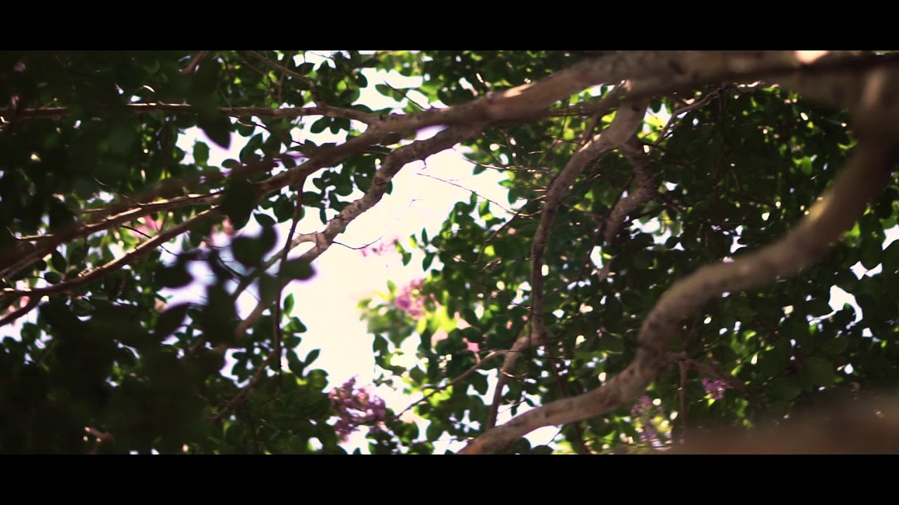 Color Grading practice - YouTube