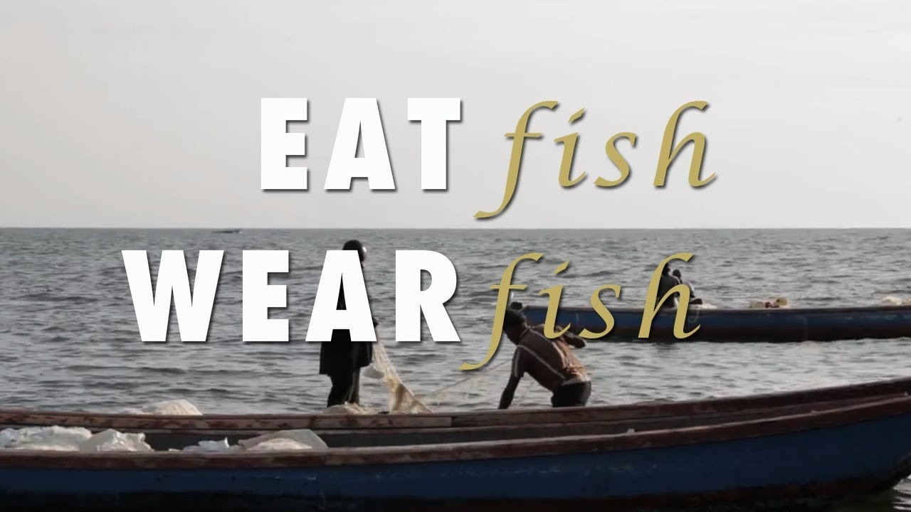 Eat Fish, Wear Fish - YouTube