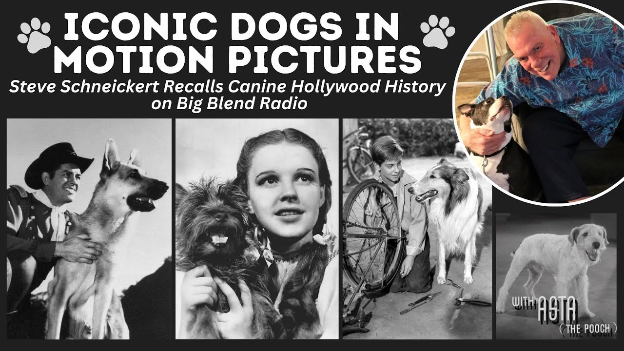 Steve Schneickert - Iconic Dogs in Motion Pictures - YouTube