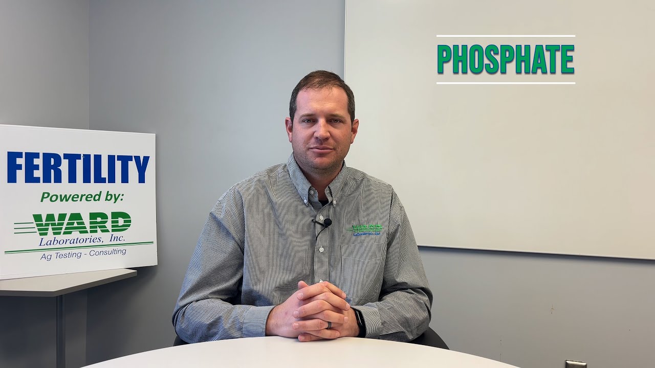 Orthophosphate vs Polyphosphate with Dr. Nick Ward - YouTube