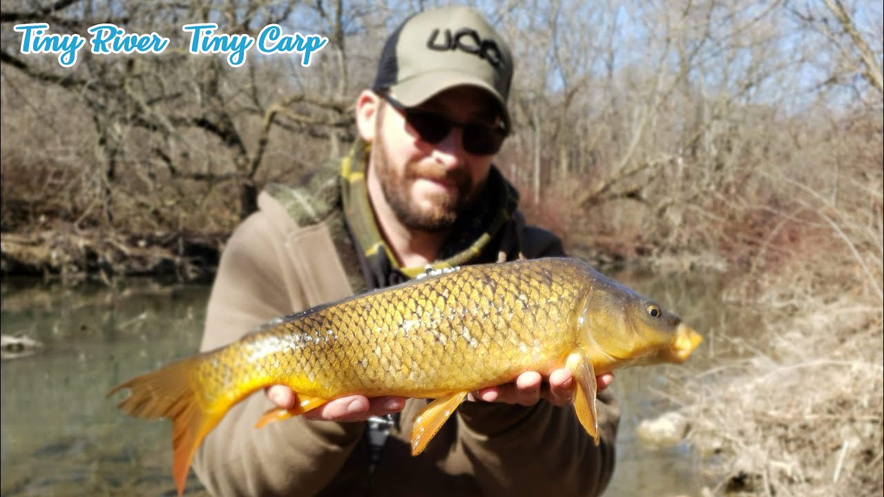 Tiny River, Tiny Carp - YouTube