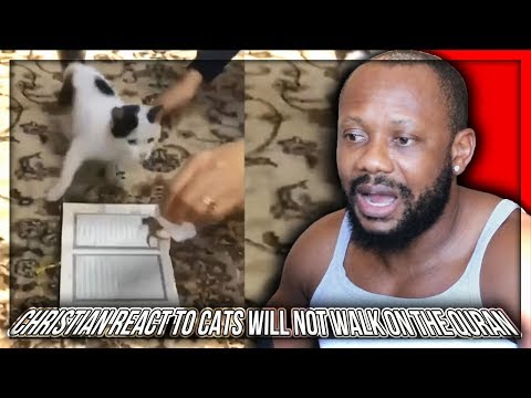 Christian React To Cats Will Not Walk on The Quran, experiment with 5 cats!!!