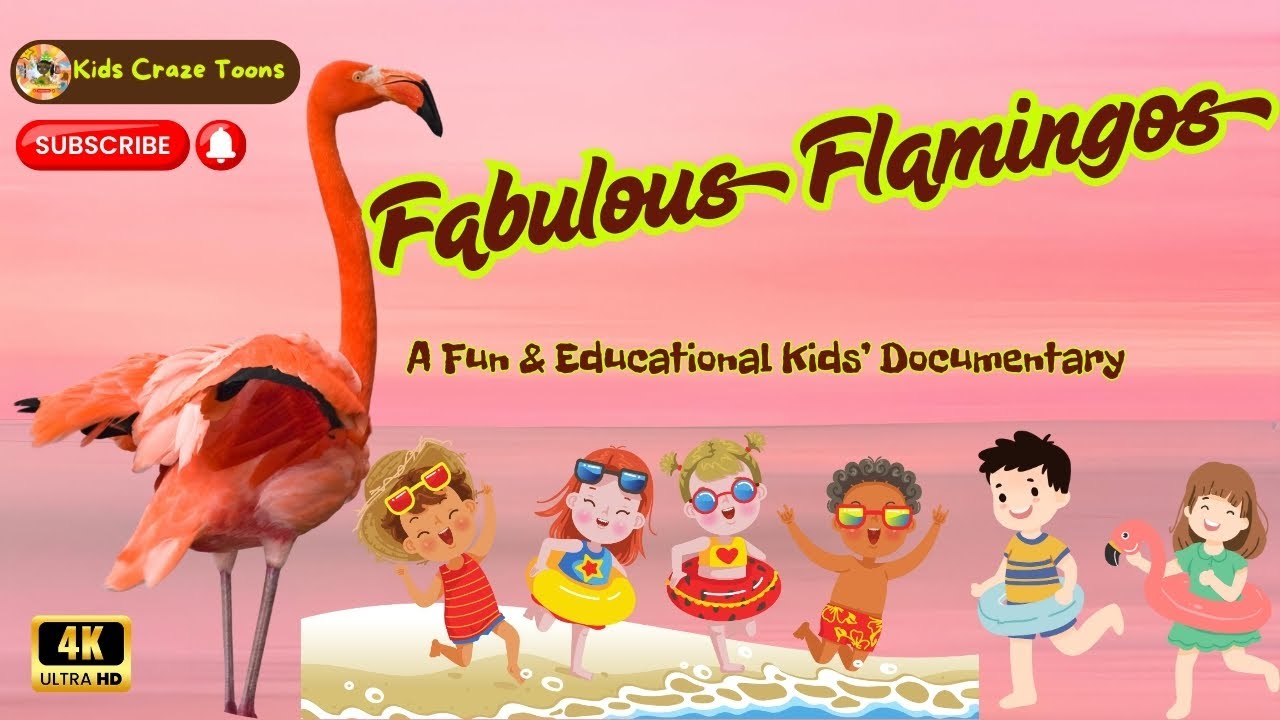 Fabulous Flamingos for Kids! | Colourful Birds | Wildlife for Kids ...