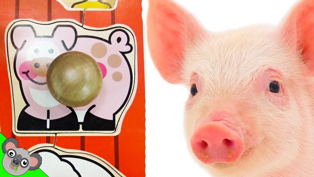 REAL SURPRISE Farm Animals! Wooden Puzzle Learning Names and Colors ...