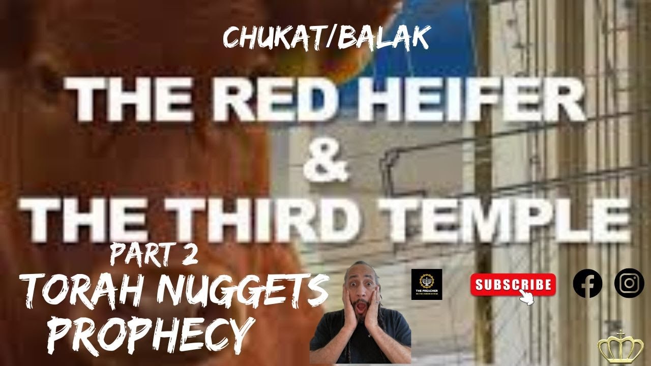 End Times Prophecy!! | Red Heifer, 3rd Temple, Jesus; Torah Portion ...