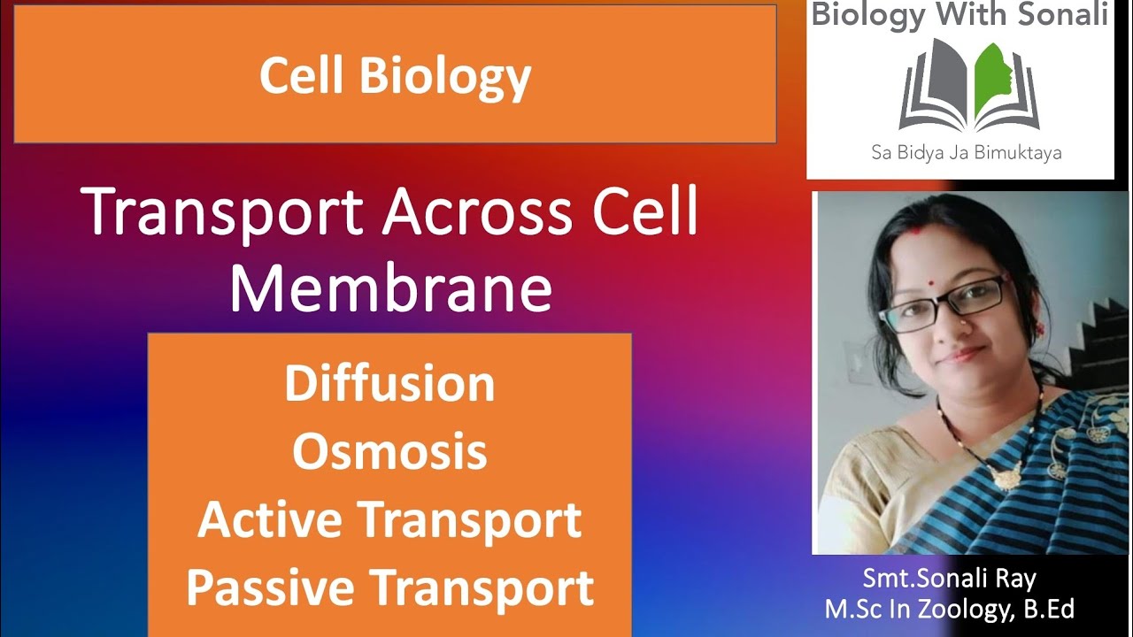 Transport Across Cell Members || B.Sc 2nd Semester Zoology || Cell ...