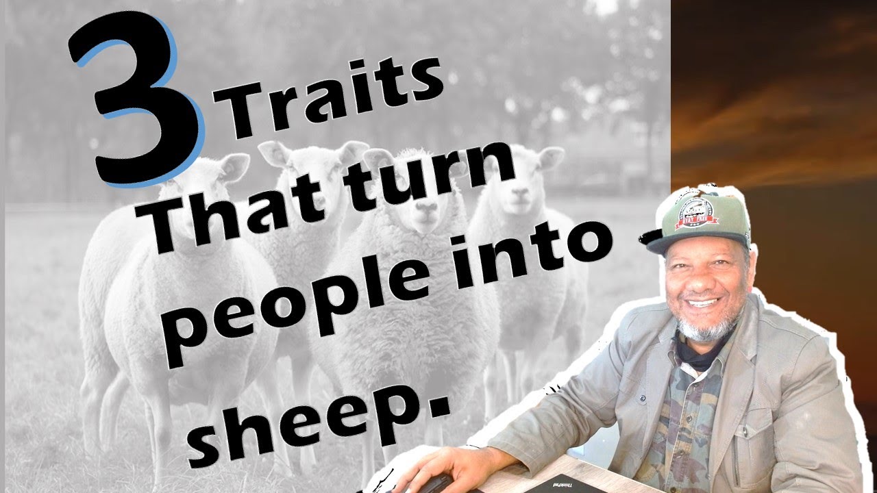 The three traits that turn people into sheep - existing for the ...