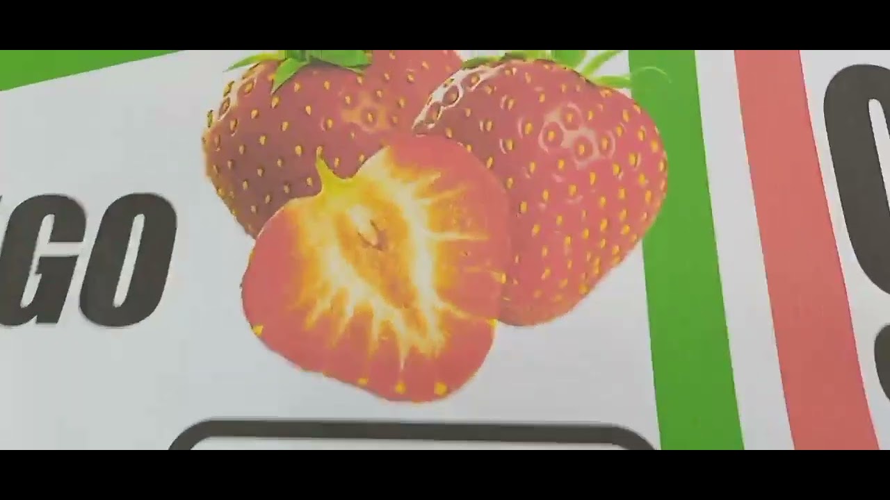 Ploter Canon TA-20 com Bulk Ink - YouTube