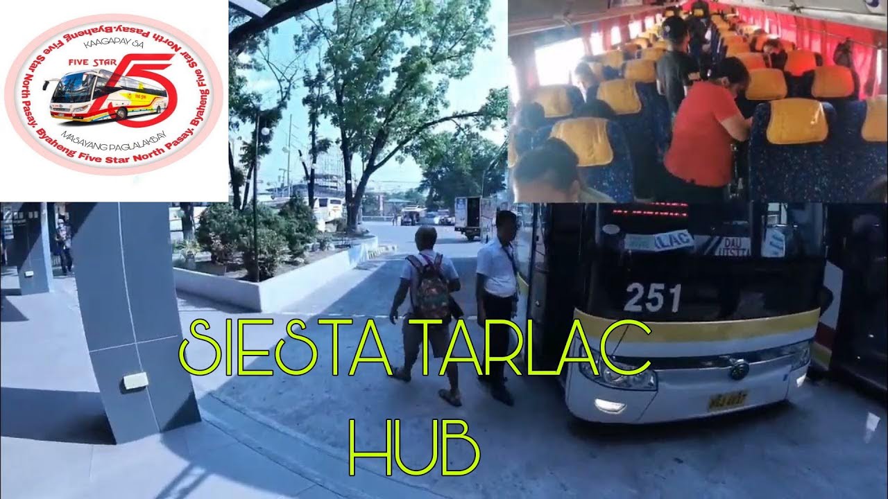 SIESTA BUS STOP. 4/26/23 - YouTube