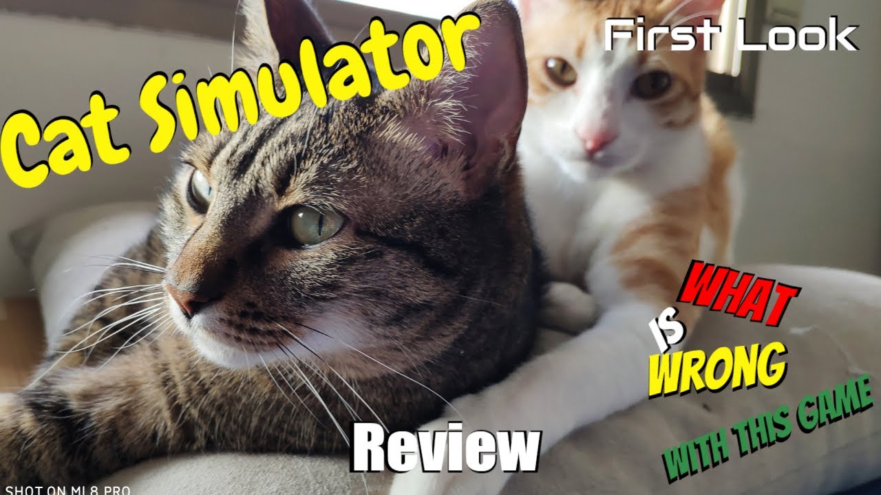 First Look Cat Simulator Gameplay Review - YouTube