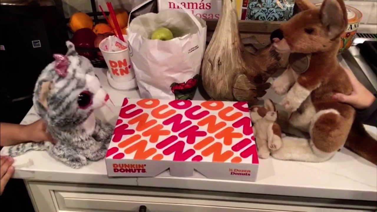 Dunkin’ Donuts Cat - YouTube