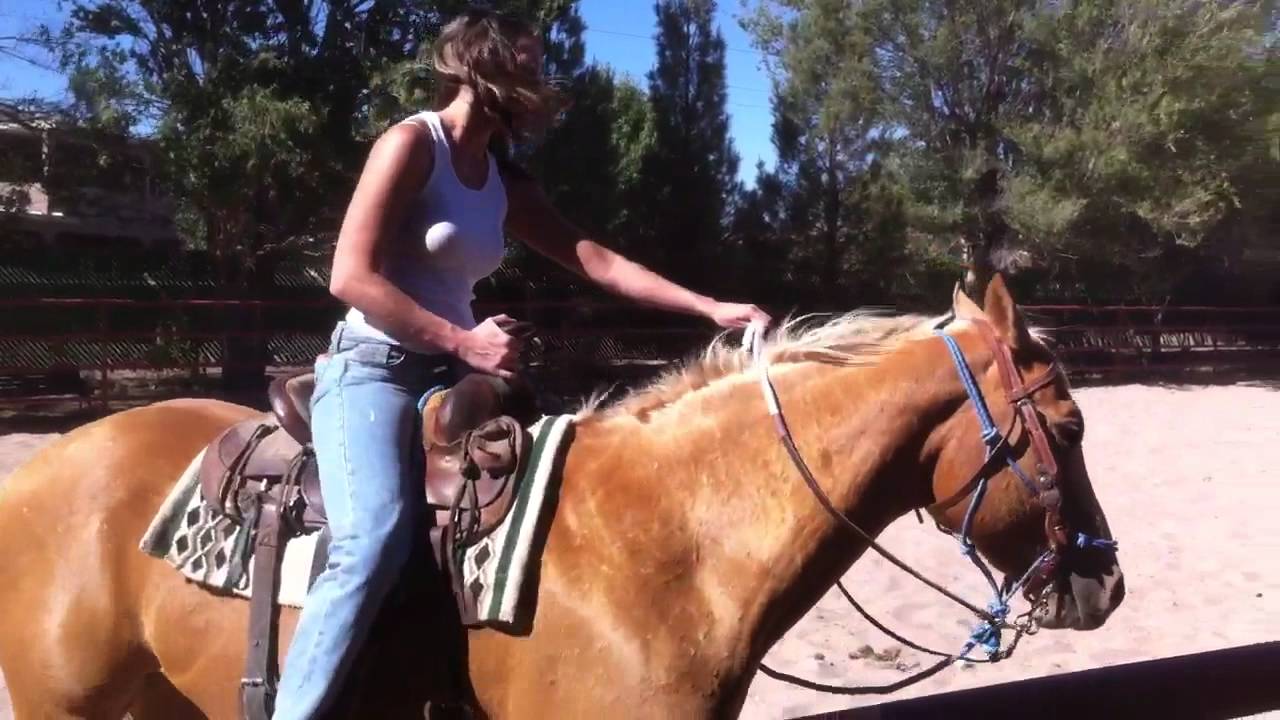 Kelly & Custer - YouTube