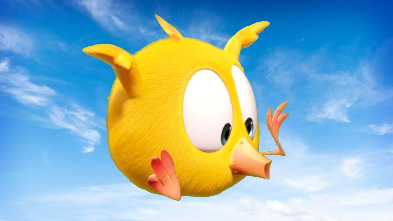 Where's Chicky? Funny Chicky 2022 | LEARN TO FLY | Chicky Cartoon in ...