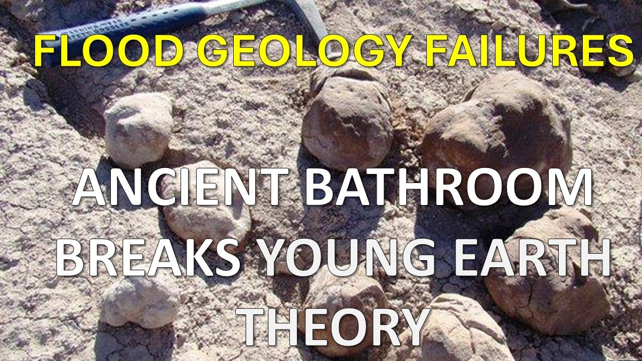 Why Ancient Poop Fossils Challenge Noah's Flood - YouTube