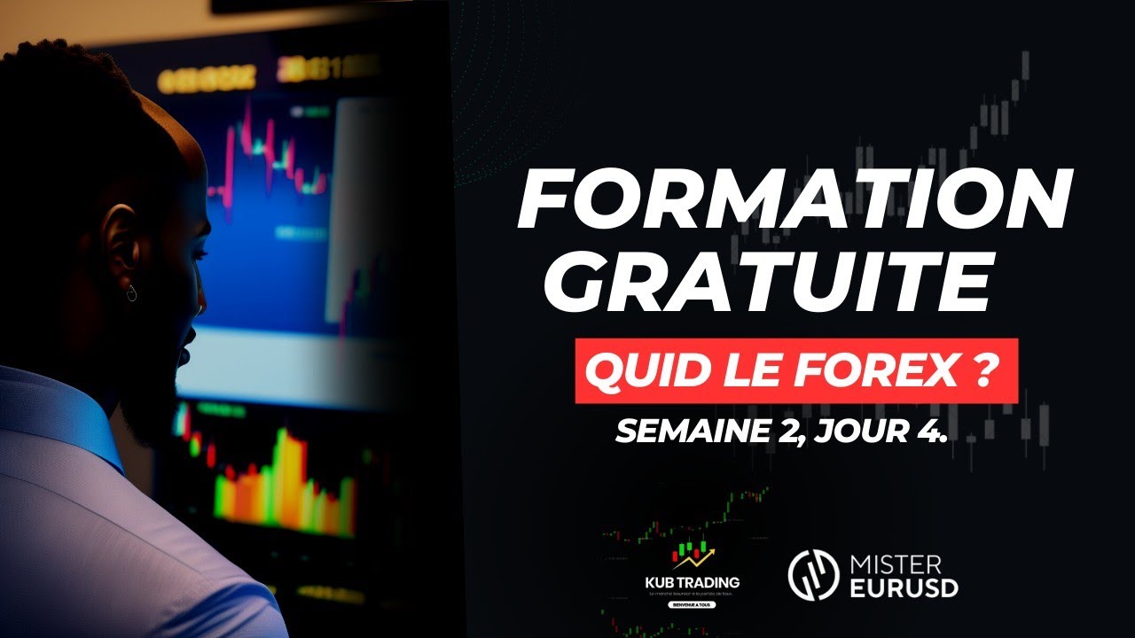 #5 QUID LE FOREX | PARTICIPANTS SUR LE MARCHÉ DU FOREX | FORMATION ...