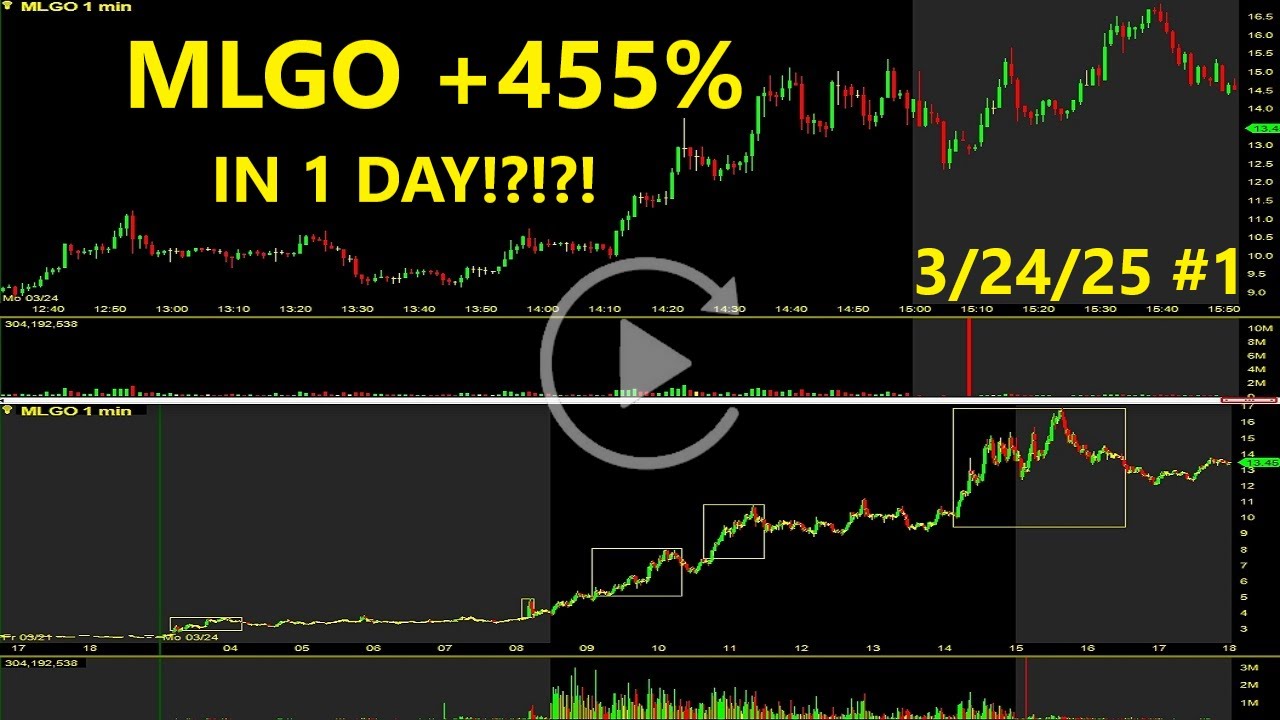 MLGO Stock Replay +455% MicroAlgo Inc Stock Review - YouTube