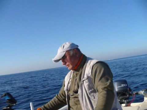 Ψαρεμα Καλαμαριων απο Αλεκο - YouTube
