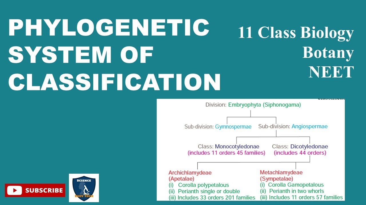 Phylogenetic System of Classification | Taxonomy & Systematic Botany I ...