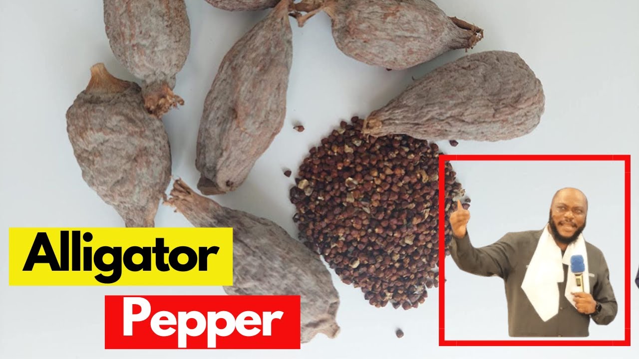 Alligator Pepper For Money and Good Luck - YouTube