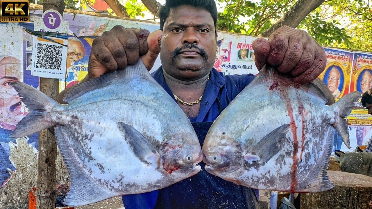 KASIMEDU 🔥 SPEED SELVAM | BIG SIZE WHITE VAVVAL FISH CUTTING VIDEO | 4K ...