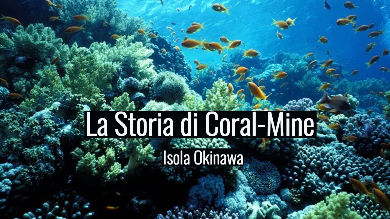 #coralmine Coral-Mine - acqua viva, di salute e di benessere - YouTube