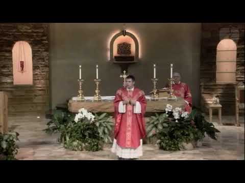 Father Mike Ackerman's Homily from Monday, June 22, 2020 - YouTube
