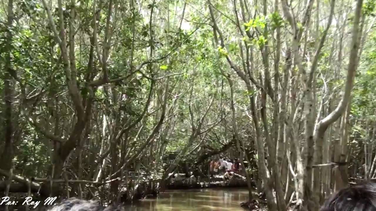 Parque ecológico El Corchito, Progreso, Yuc. - YouTube