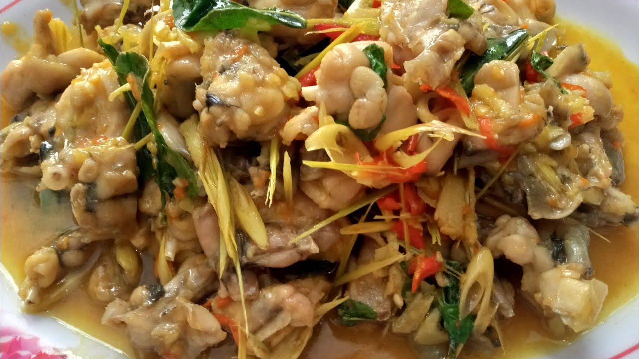 ឆាក្តៅកង្កែប // Spicy hot frog (khmer food) - YouTube