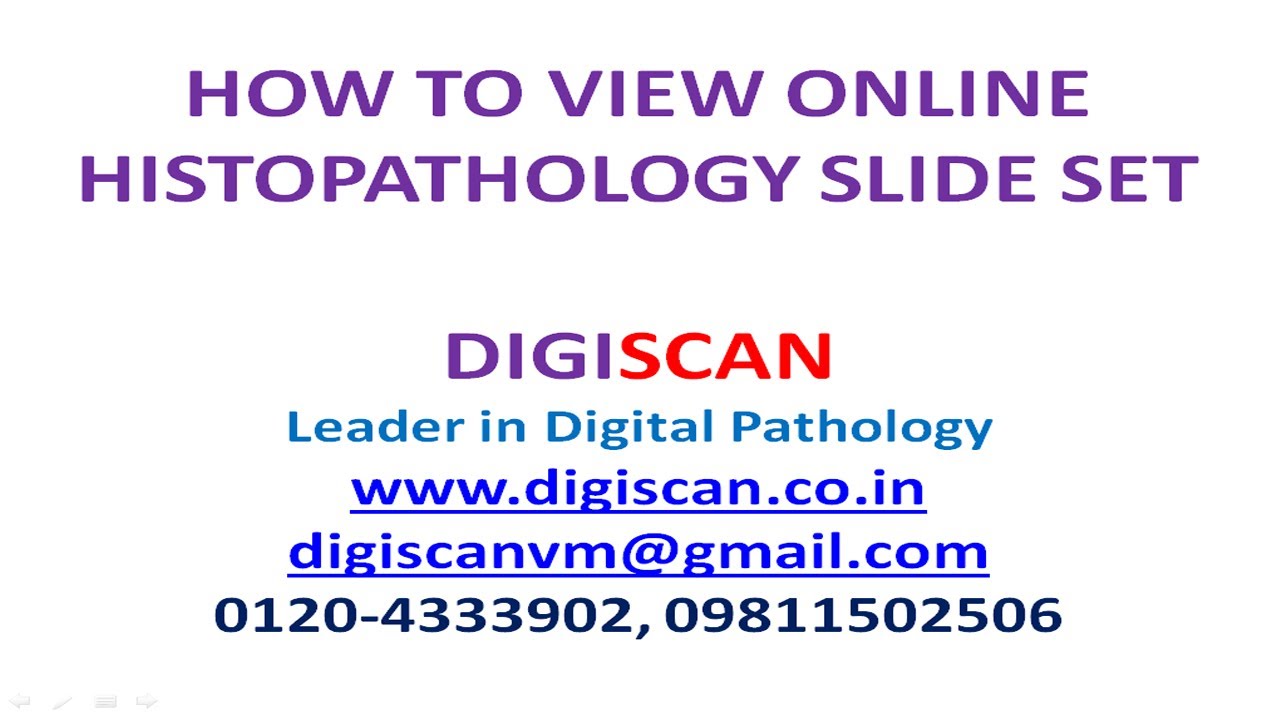 How to view Online Histopathology Slide Set - YouTube