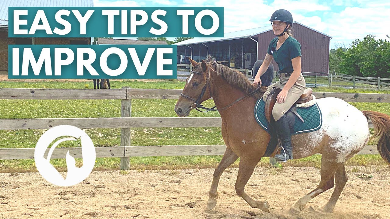 HOW TO IMPROVE YOUR TRAINING & RIDING | Equilab - YouTube