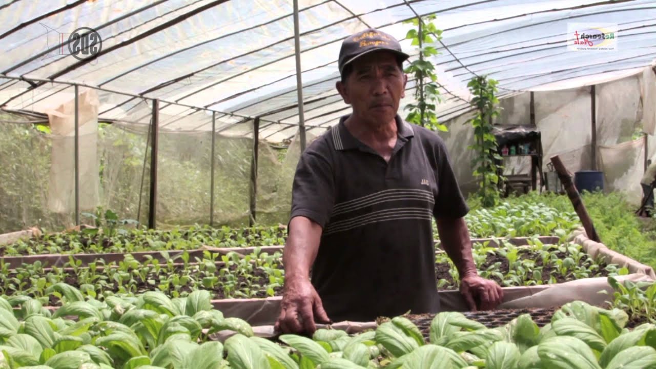 Sustainable Farming Systems: Organic Agriculture in Benguet ...