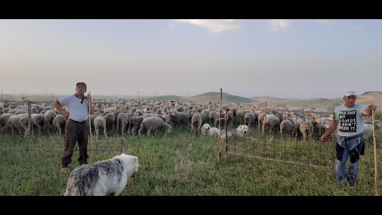 Transumanza Patrimonio Unesco - Uomini e armenti lungo i tratturi dei ...