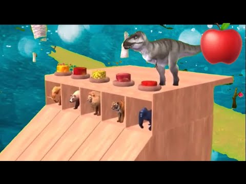 Animals pass obstacles - YouTube