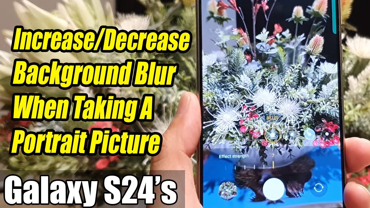 Galaxy S24/S24+/Ultra: How to Increase/Decrease Background Blur When Taking A Portrait Picture ...
