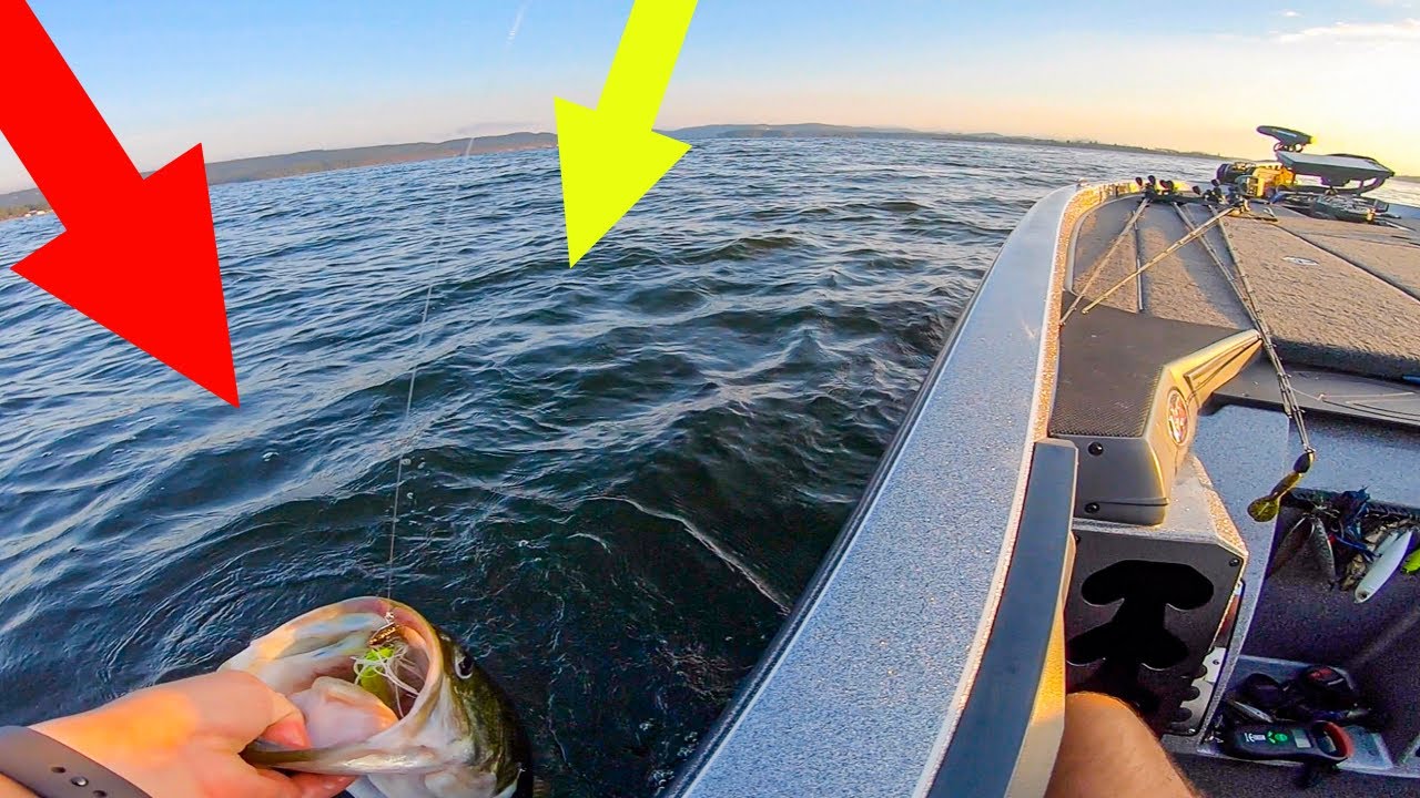 I caught a BUG EYED BEAST on a Chatterbait + (EPIC FISHING) - YouTube