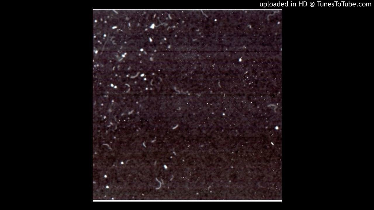 Aymeric De Tapol - Marmonner Is Good - YouTube