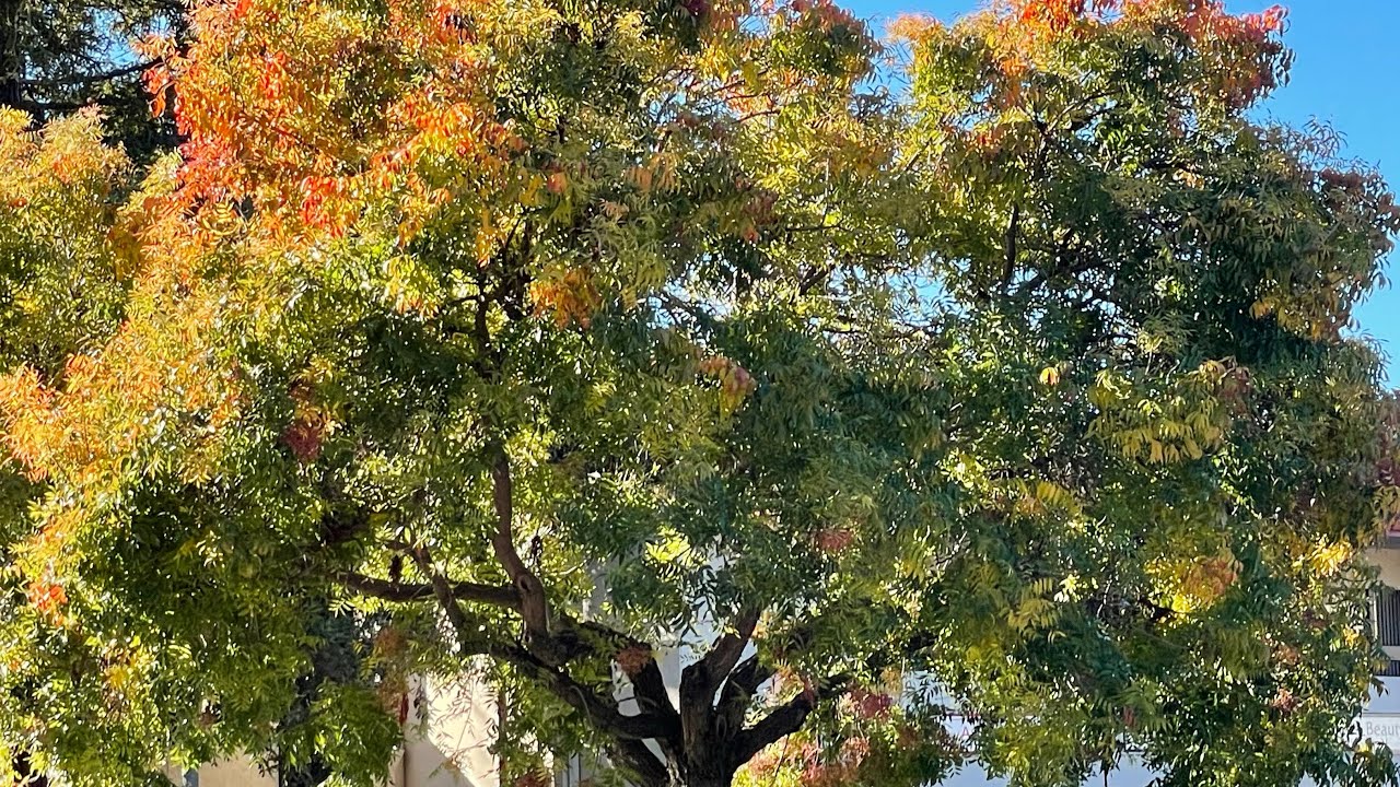 Self-Efficacy: Mastery Experiences - Part II - YouTube