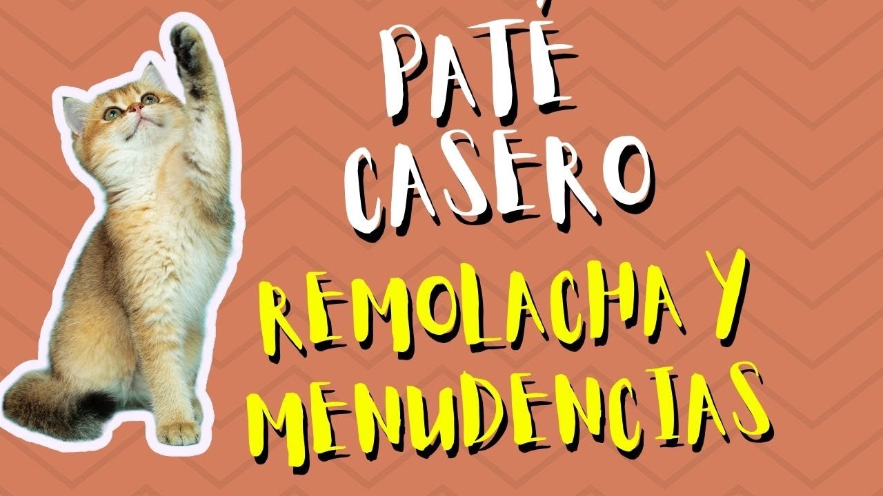 PATÉ CASERO PARA GATOS | Un alimento nutritivo con muchos beneficios ...