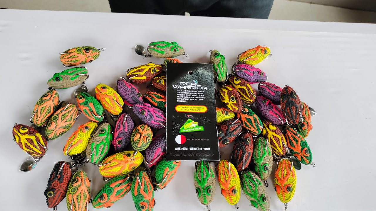 real warrior gem frog #fishing #sixgillfishing #fish #seafood #beach # ...