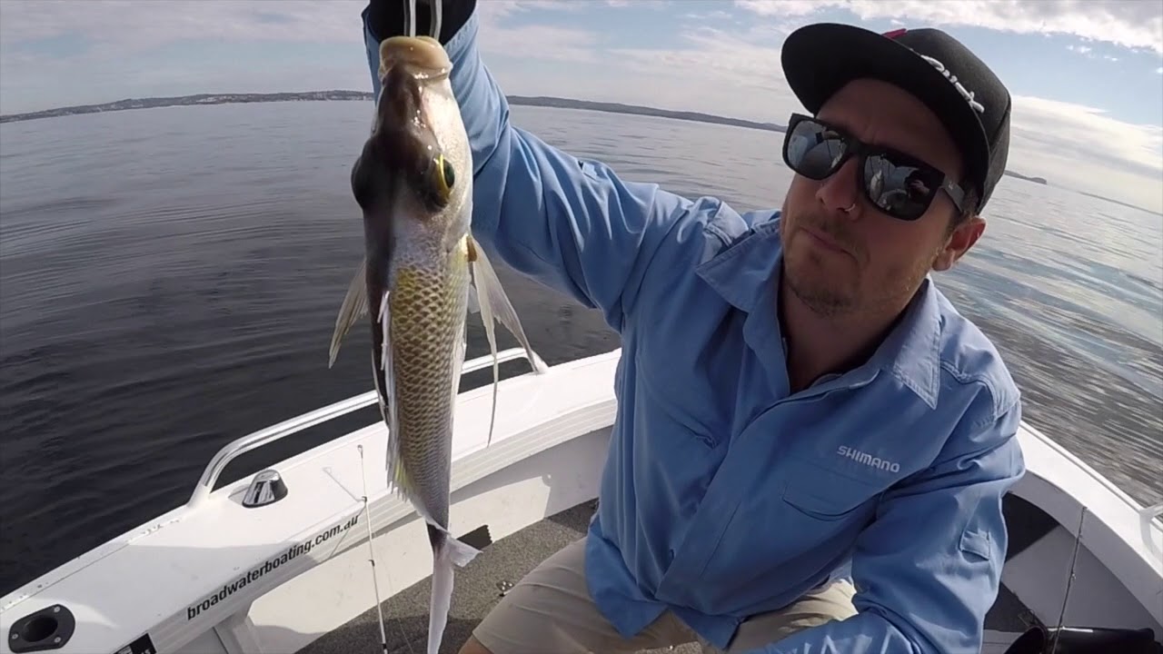 Long Reef Kingfish Winter 2018 sydney fishing - YouTube