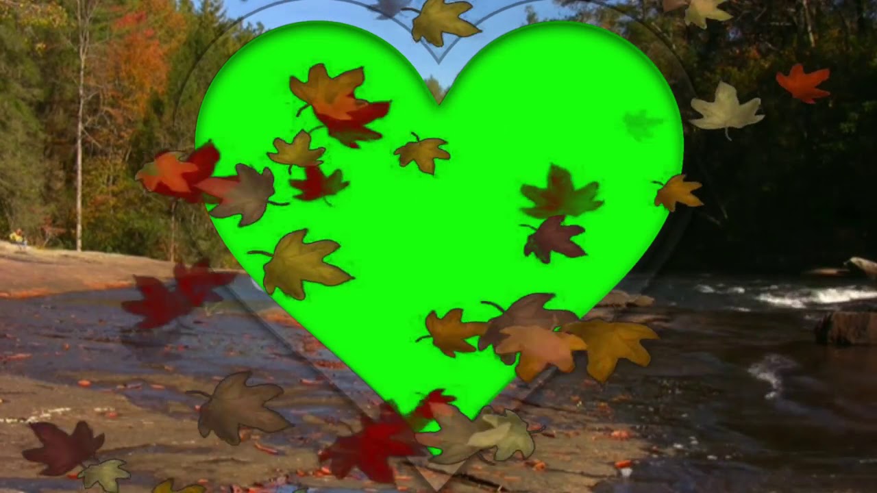 Green Screen Heart Photo Frame - YouTube