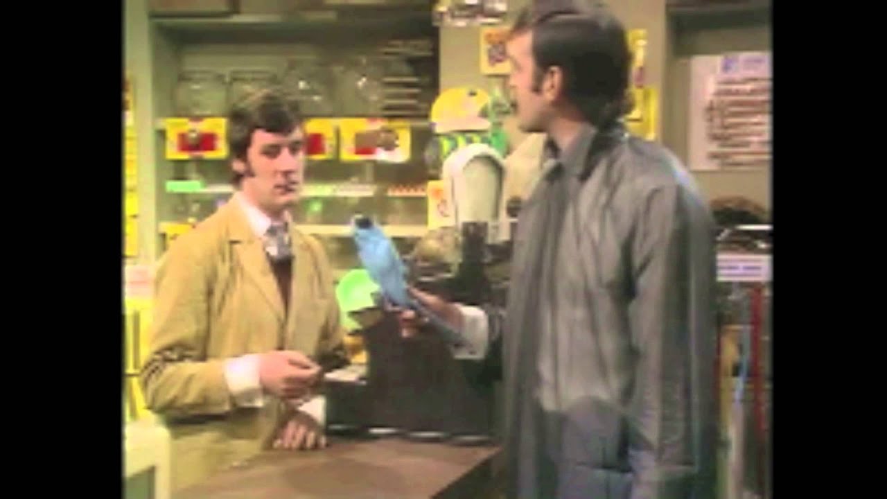 Dynamic Canary Cell Scoring - YouTube