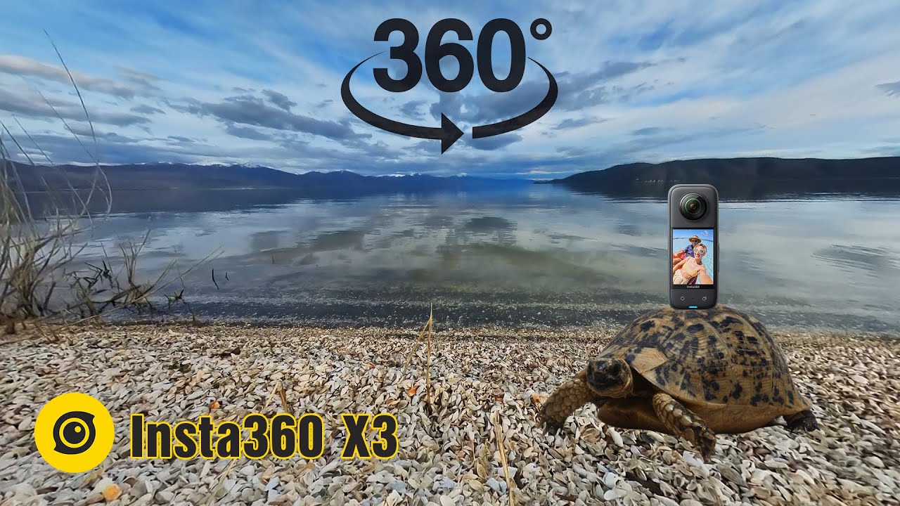 【VR 360° Video】Insta360 X3 - * Funny Turtle Walk * (TEST) - YouTube