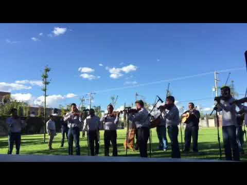 mariachi Los Pérez La feria de las flores - YouTube Music