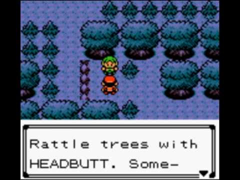 Pokemon Crystal Playthrough Part 9: ILex Forest & Route 34 - YouTube