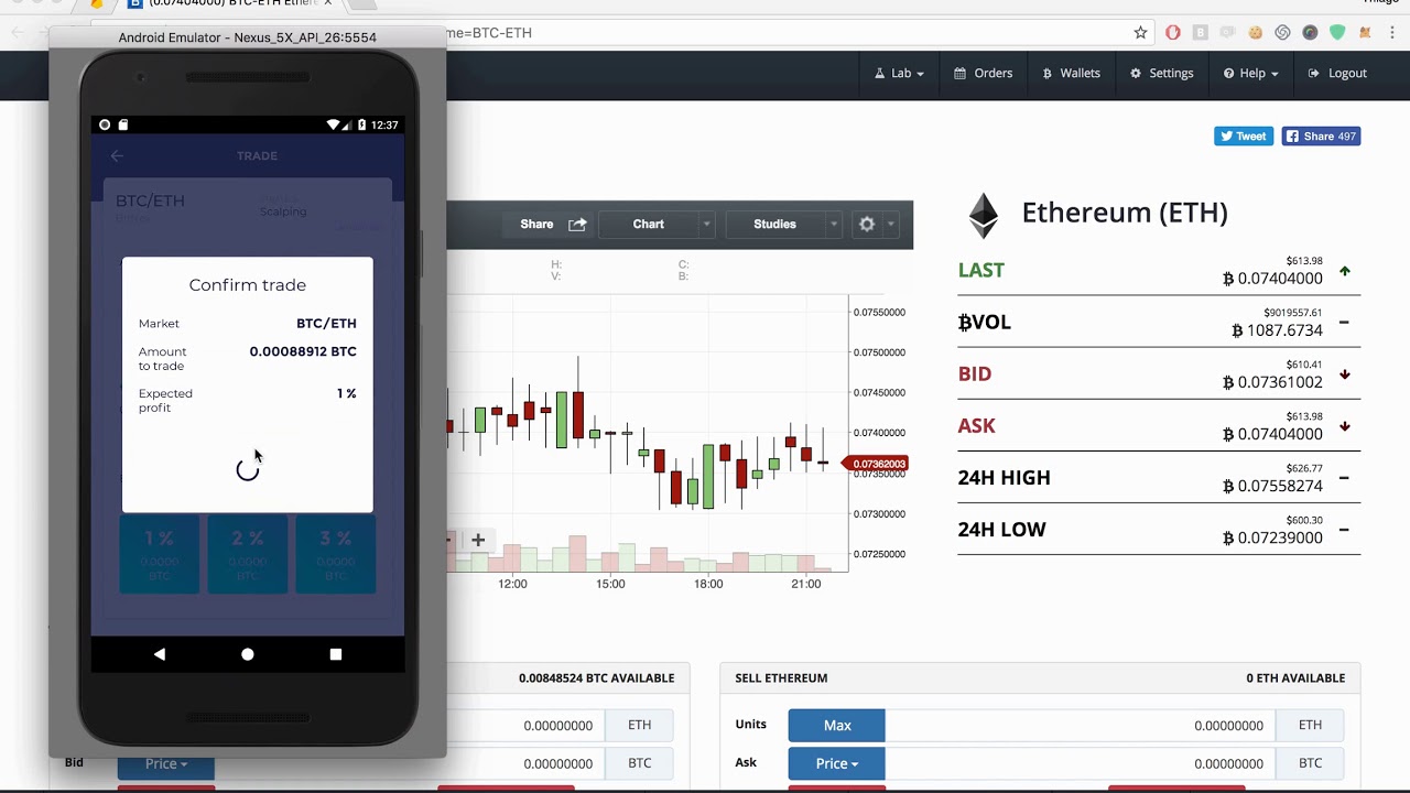 Taylor App Demo - Beta Version - YouTube