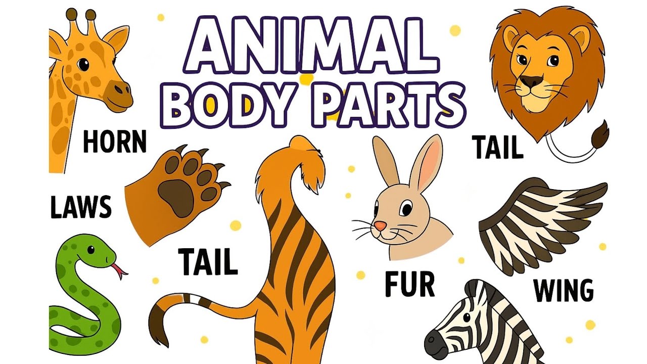 Learn Animal Body Parts! 🐘🦁 Fun Video for Kids with Drawing Activity ...